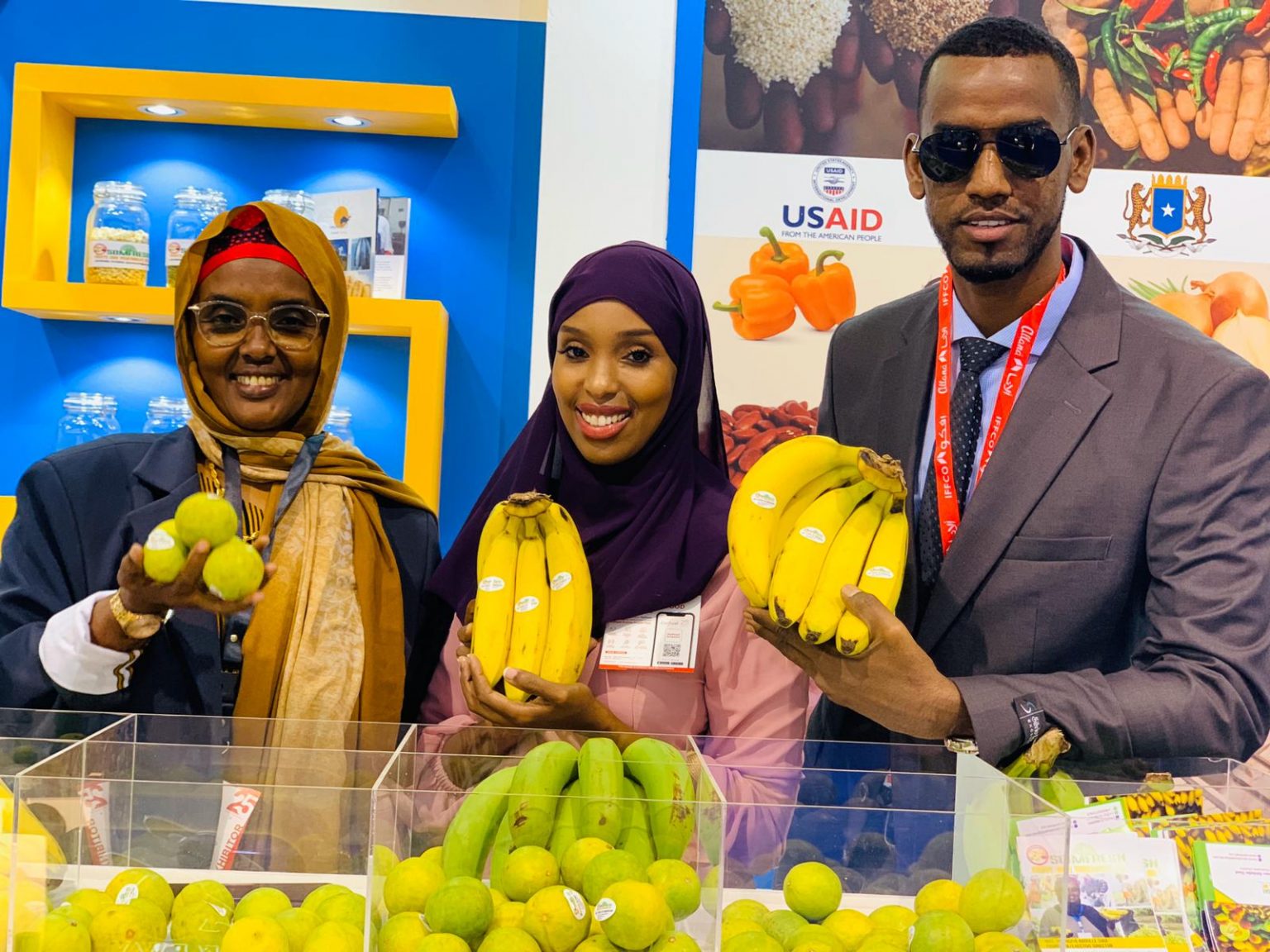 Home - Somali Women In Business